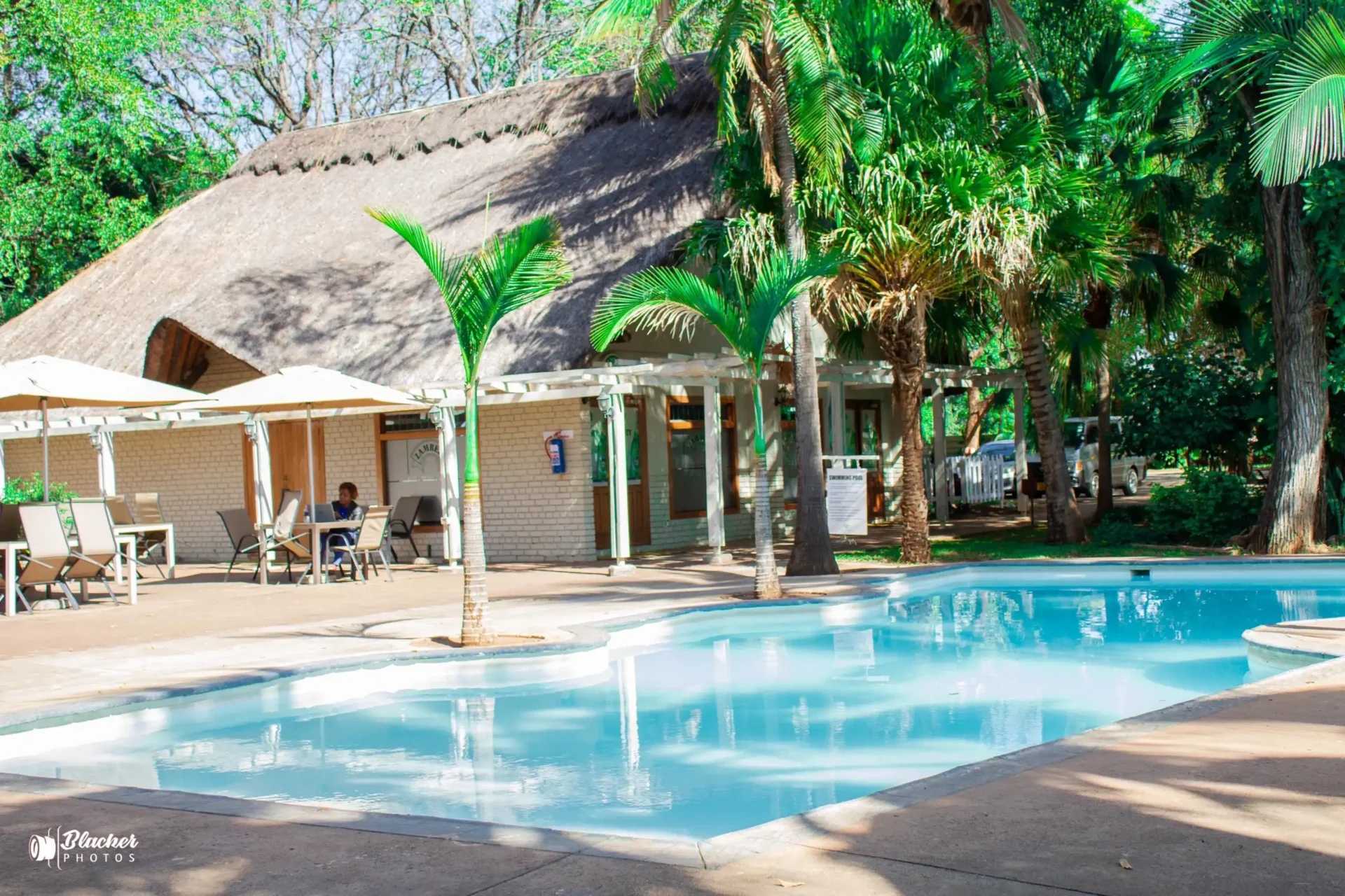 Palm Tree Place Hotel - Zimbabwe
